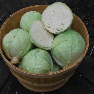 Cabbage, Tancook Island - Yakima Beach